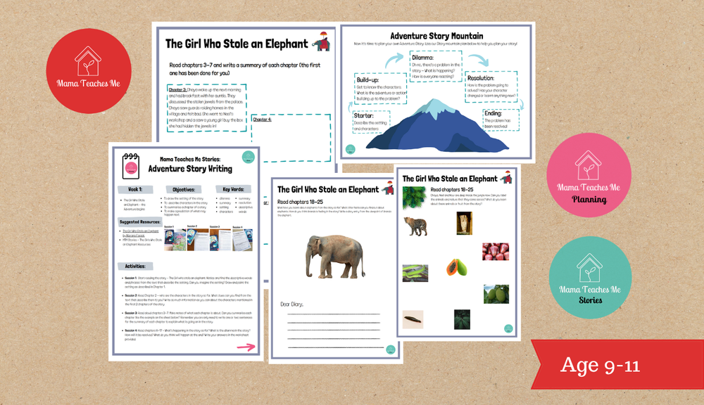 MTM English: The Girl Who Stole an Elephant (Novel Study)