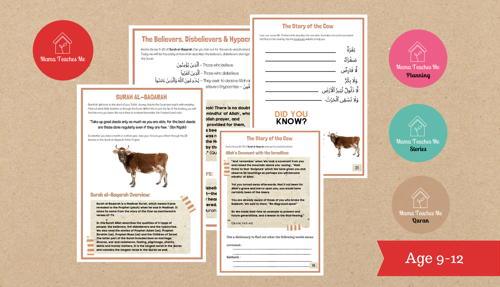 MTM Quran: Surah al Baqarah